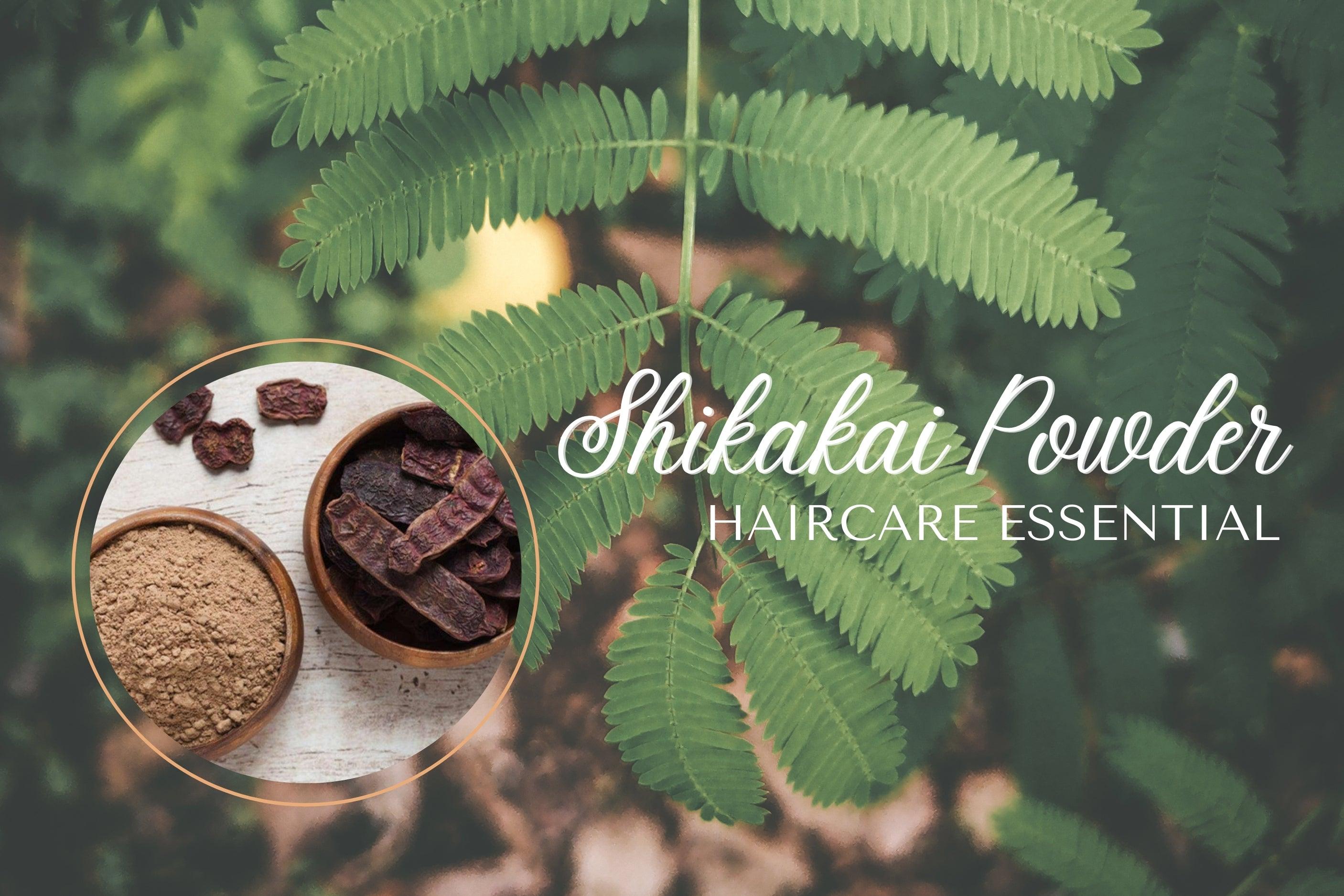 Shikakai Powder And Pods With Their Magnificent Uses