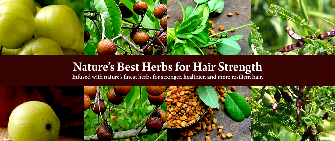 Nature’s Herbs for Hair Strength: Amla, Reetha, Shikakai & Methi Dana